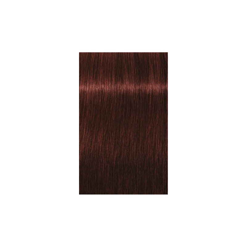 Igora Royal Absolutes 6-80 Blond foncé rouge naturel - 3x60ml Igora Royal Absolutes 6-80 Blond foncé rouge naturel - 3x60ml